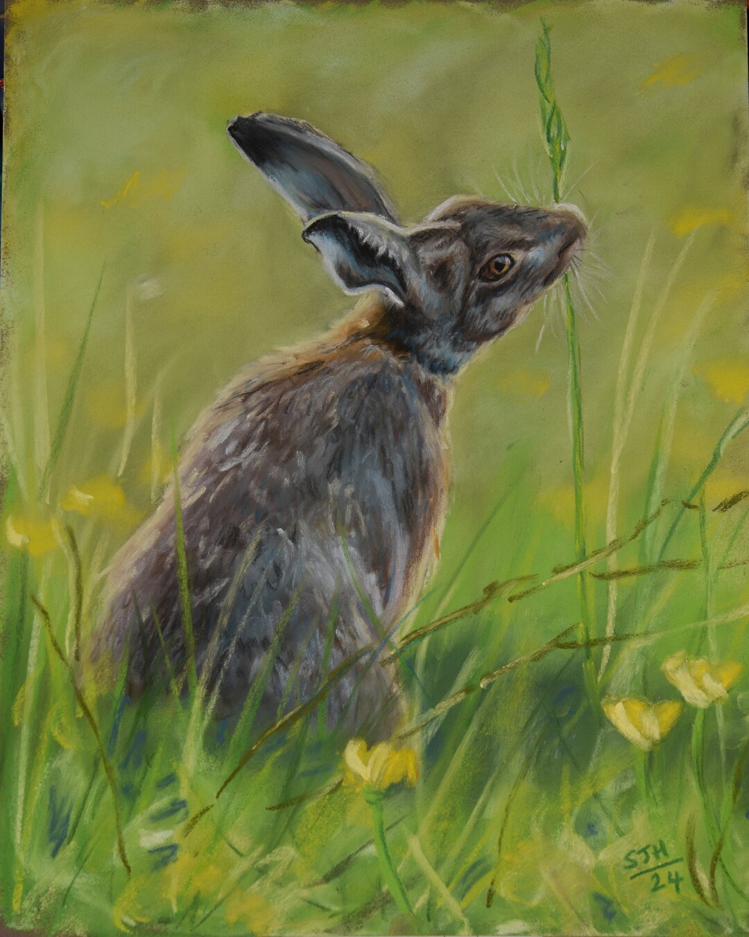 Hare in the Meadow, Soft Pastel, A4 Print - Etsy