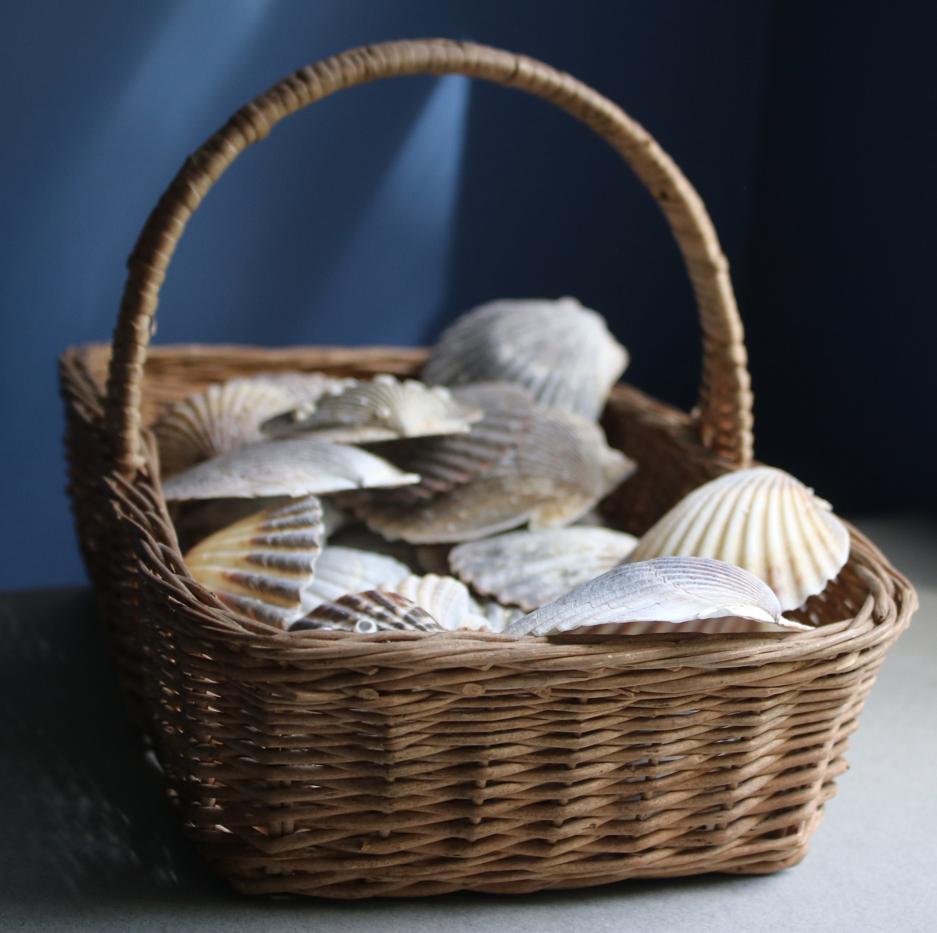Basket of Seashells