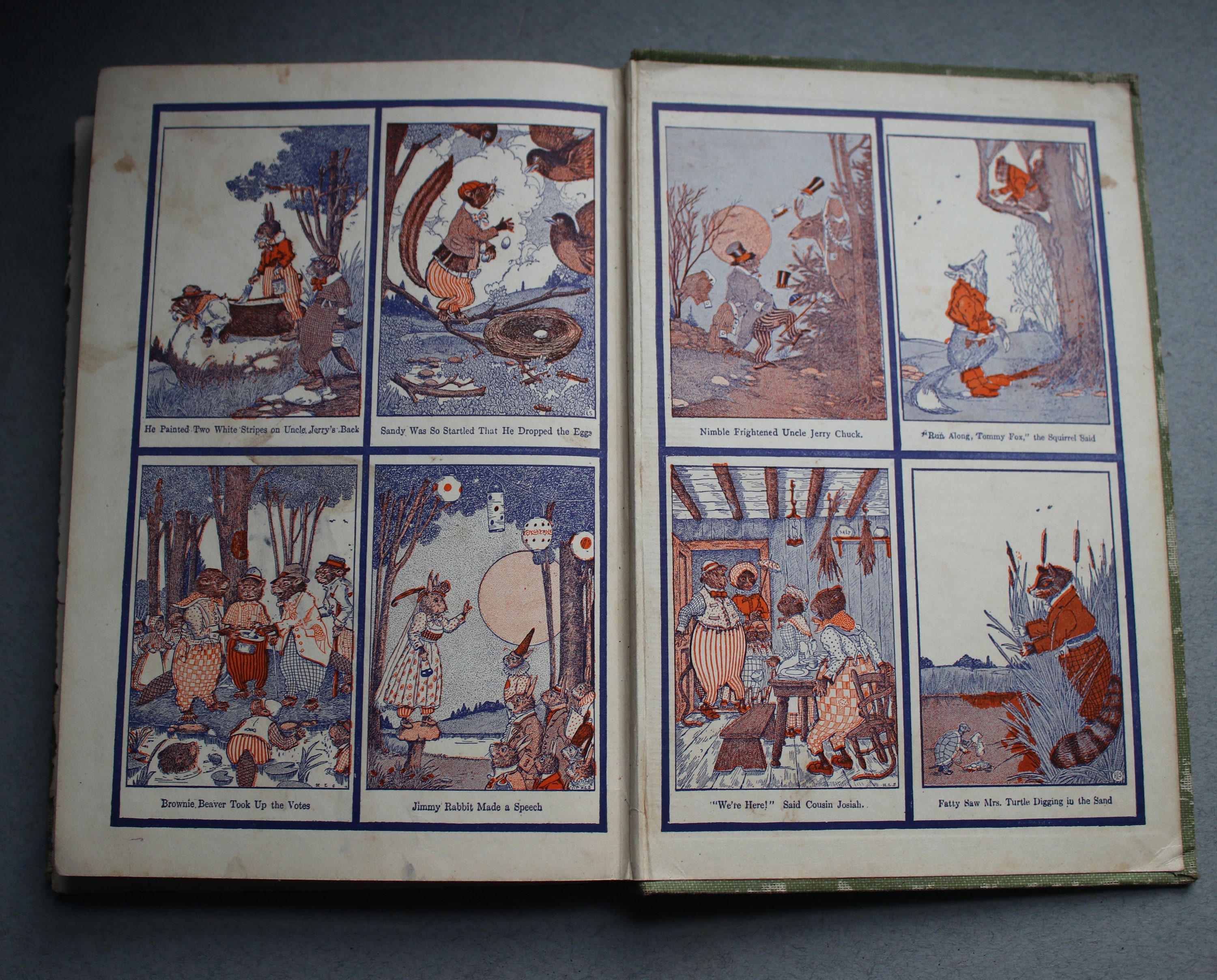 The Tale of Tommy Fox by Arthur Scott Bailey