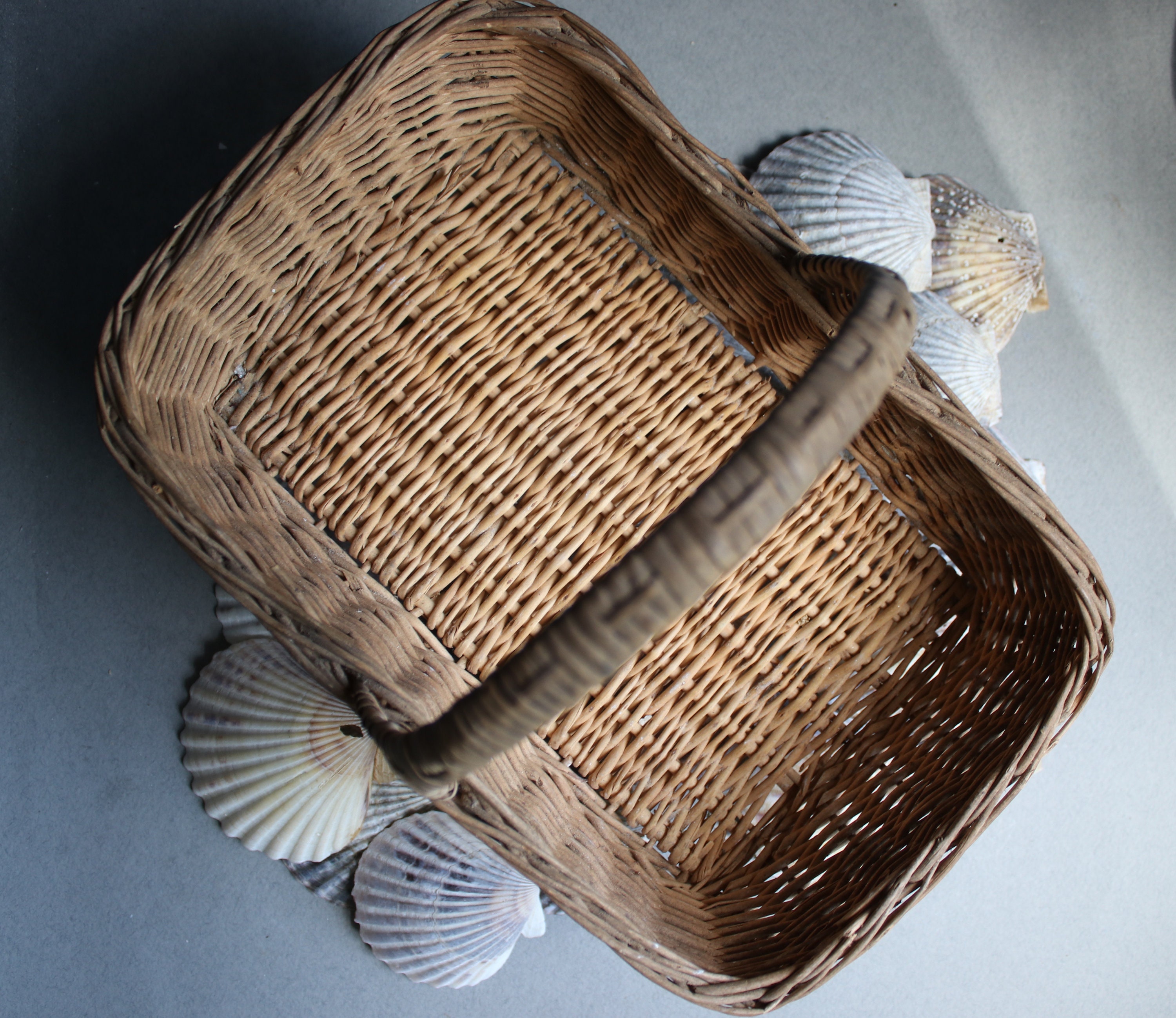 Basket of Seashells
