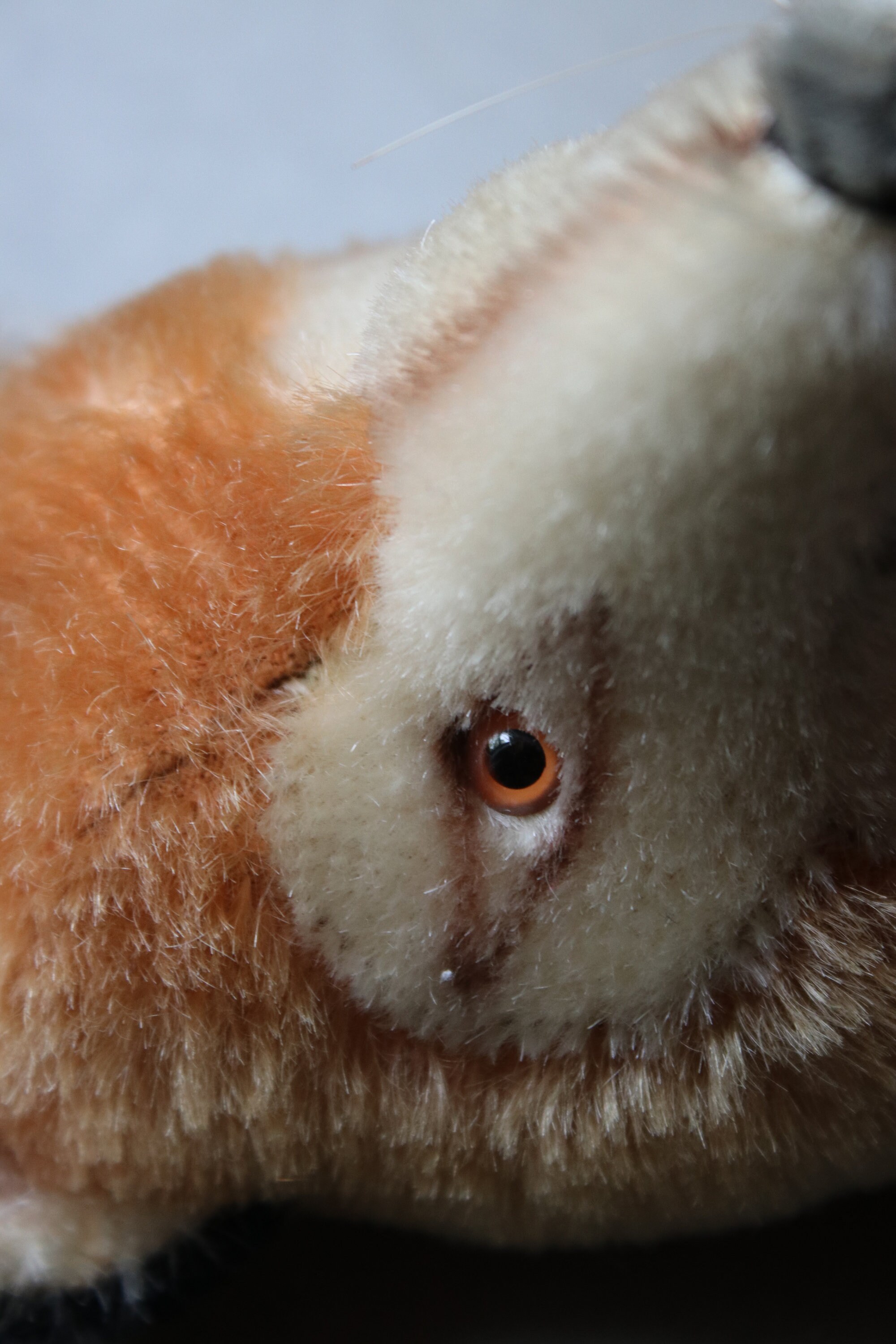 Steiff Smardy Fox, Circa 1960s-1970s