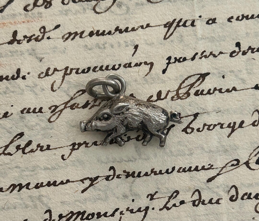 Silver, Boar Charm - Etsy