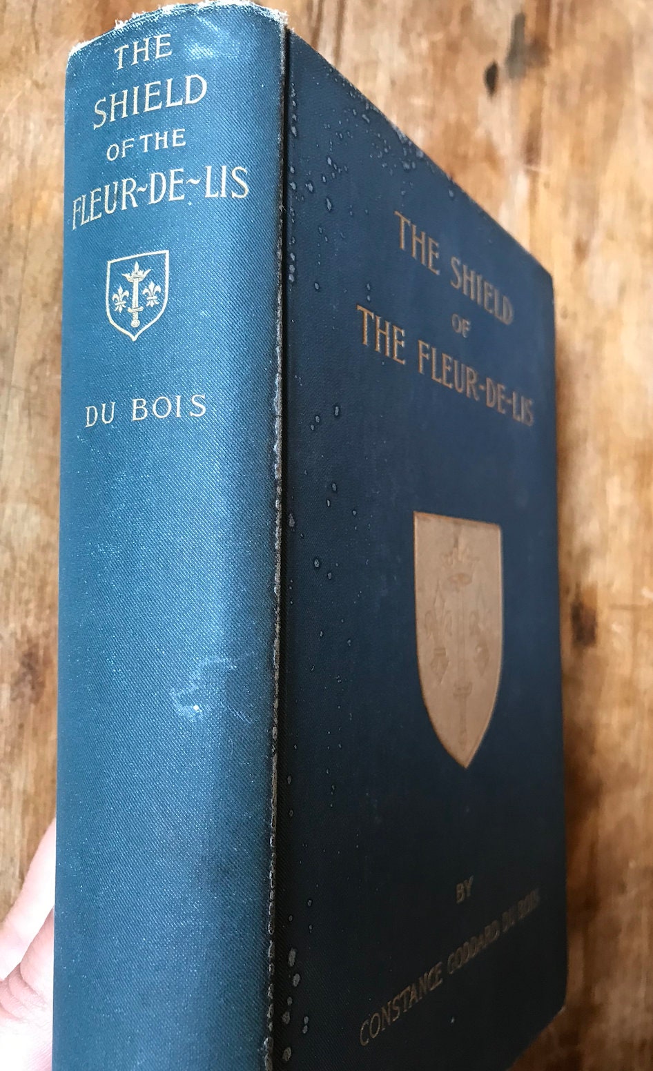 The Shield of the Fleur De Lis by Constance Goddard Du Bois - 1895 ...