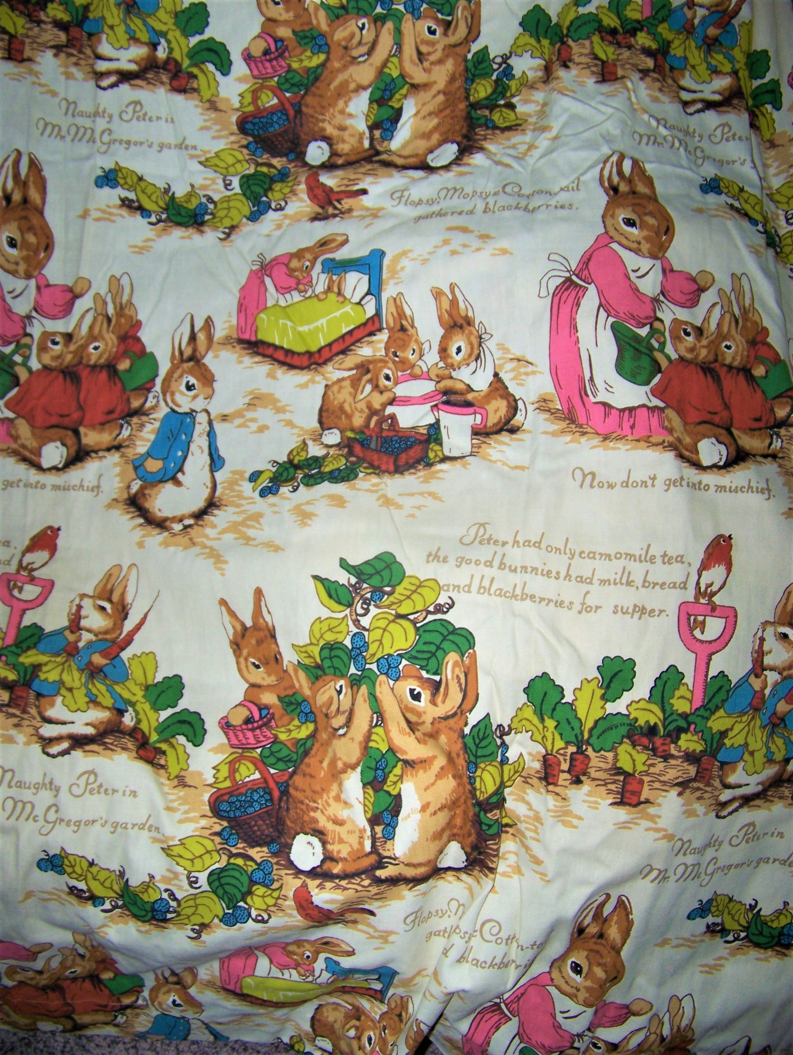 Vintage Beatrix Potter PETER RABBIT 1970's Cotton Pinch - Etsy
