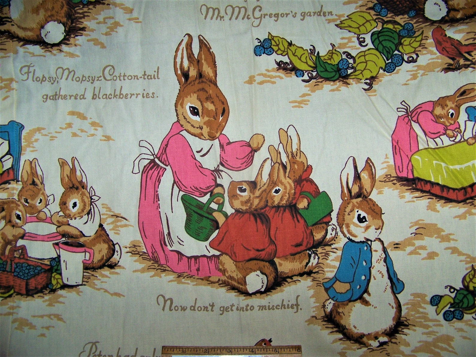 Vintage Beatrix Potter PETER RABBIT 1970's Cotton Pinch - Etsy