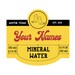 DIY Mini Topo Chico Label Template Mineral Water Label, Bottle Label ...