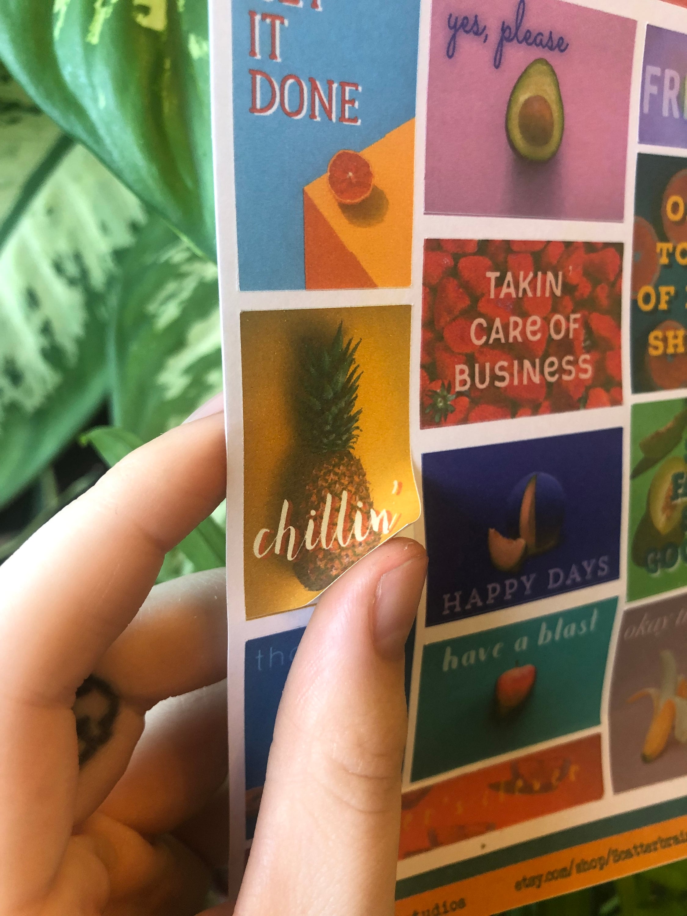 Colorful Quotes Stickers for Planner/Bullet Journal | Etsy