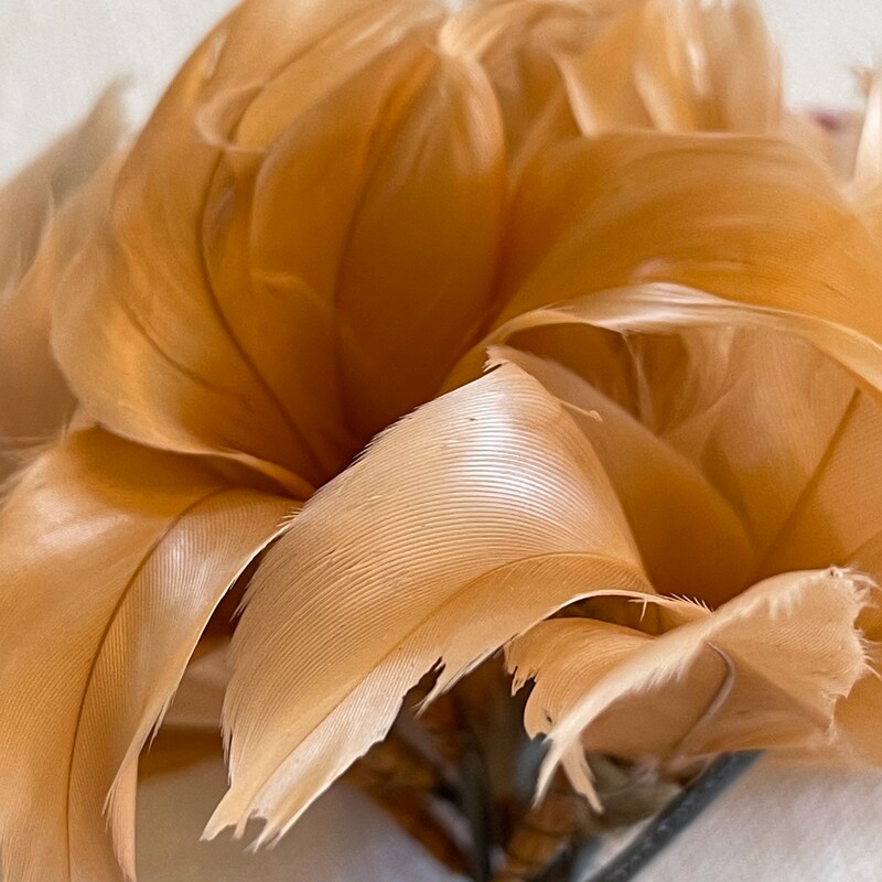 Fascinator Hat Kit - Etsy