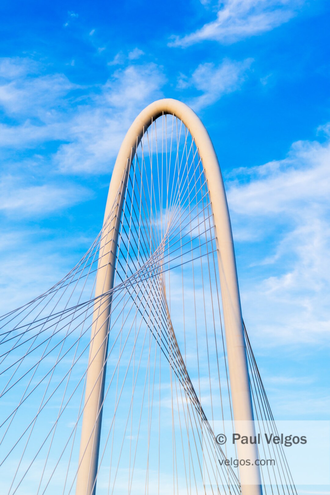 Dallas Bridge Poster: Texas Canvas Gift, Dallas Texas Print, Margaret ...