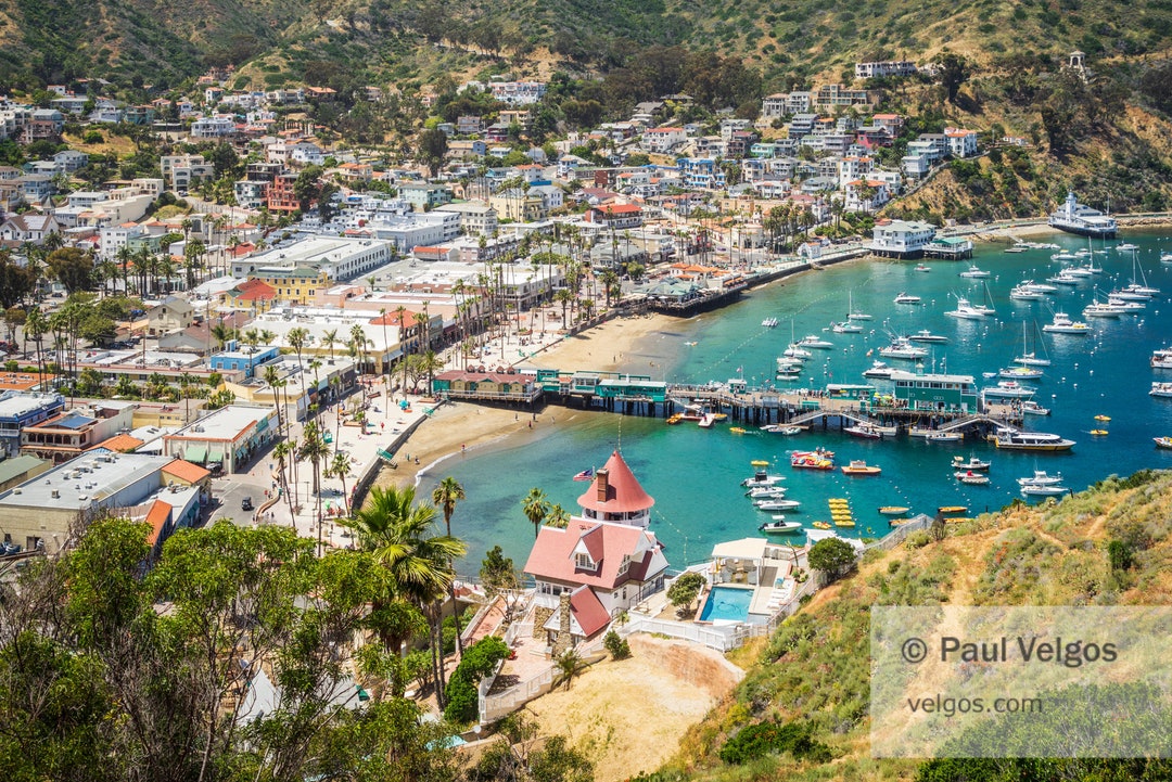 Catalina Island Art: Avalon Bay Print, Catalina Harbor Art, Southern ...
