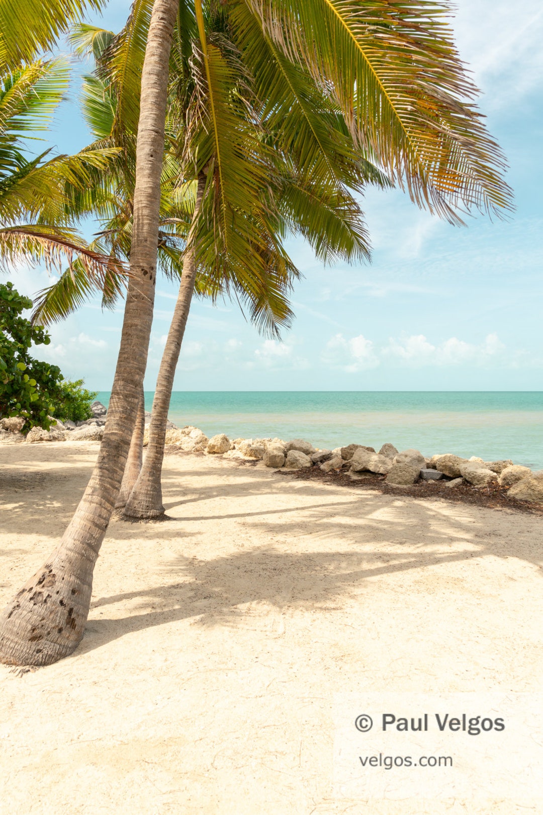 Key West Print: Palm Trees Poster, Florida Keys Photo, Key West Wall ...