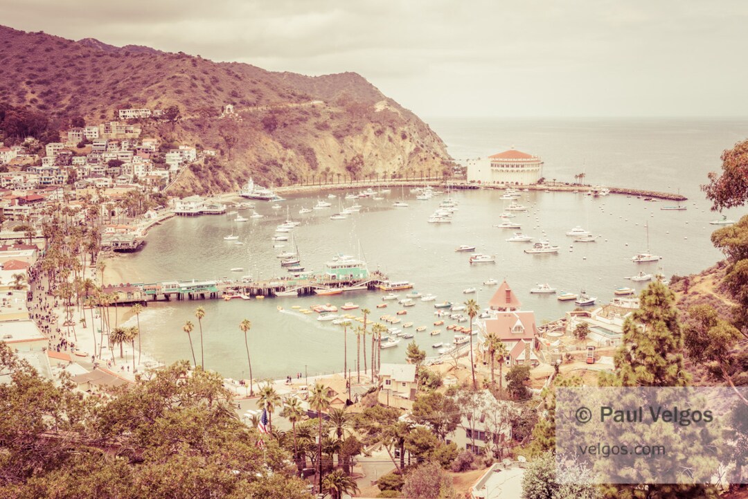 Catalina Island Art Print: Catalina Harbor Art, Avalon Bay Photo, Santa ...