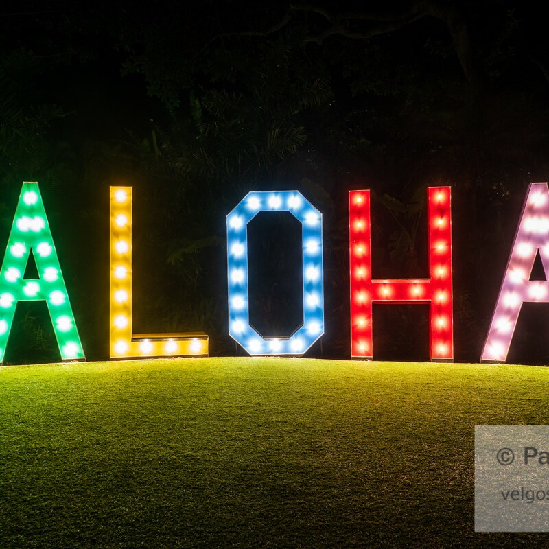 Aloha Sign - Etsy