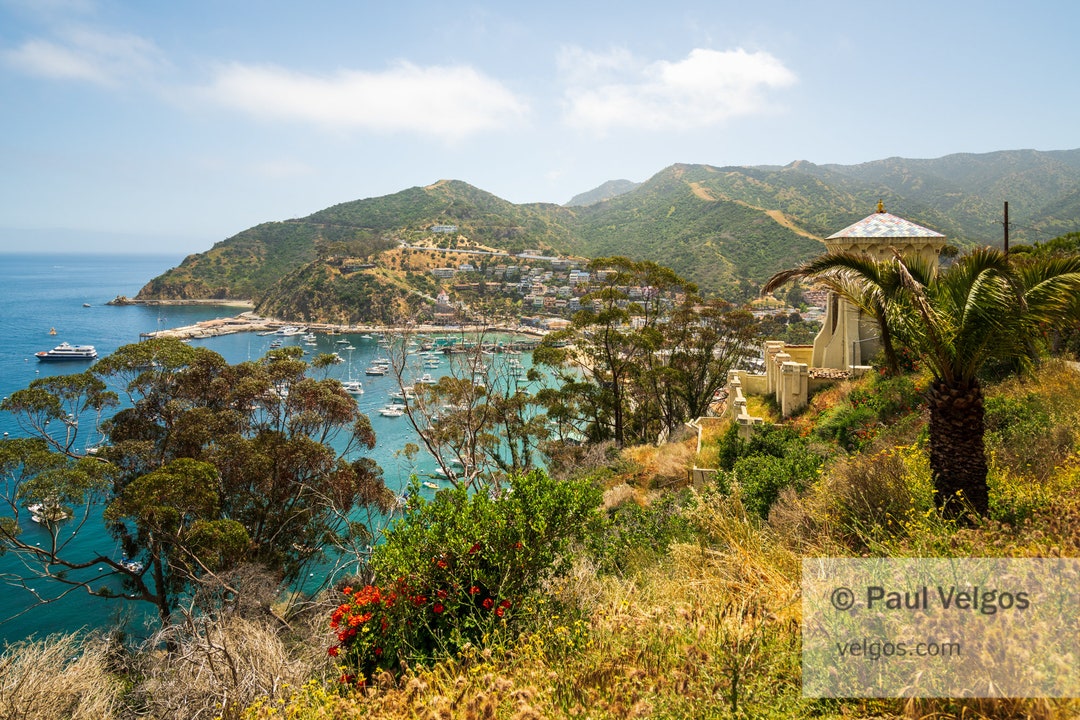 Catalina Island Art: Catalina Harbor Art, Avalon Bay Print, Santa ...