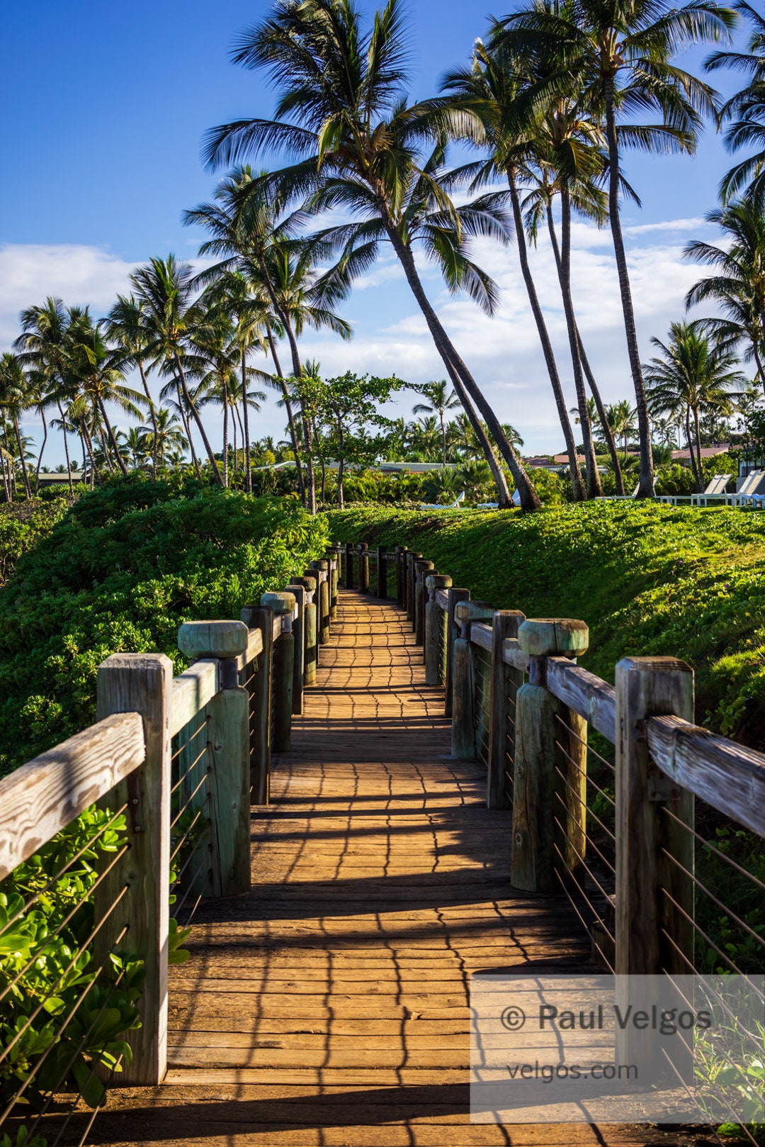 Maui Wall Art Print: Maui Hawaii Poster, Wailea Beach Path, Maui ...