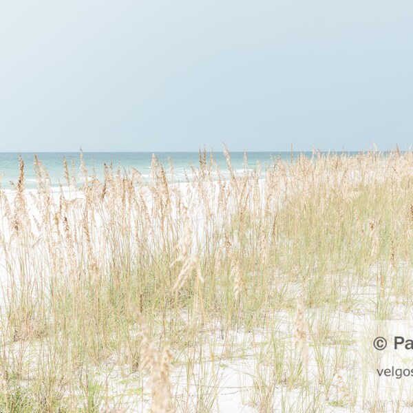 Beach Grass Print - Etsy
