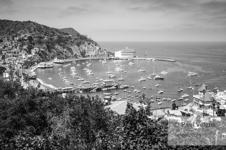 Catalina Island Art: Catalina Harbor Art, Avalon Bay Print, Santa ...