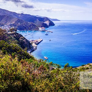Catalina Island Art: Catalina Harbor Art, Avalon Bay Poster, California ...