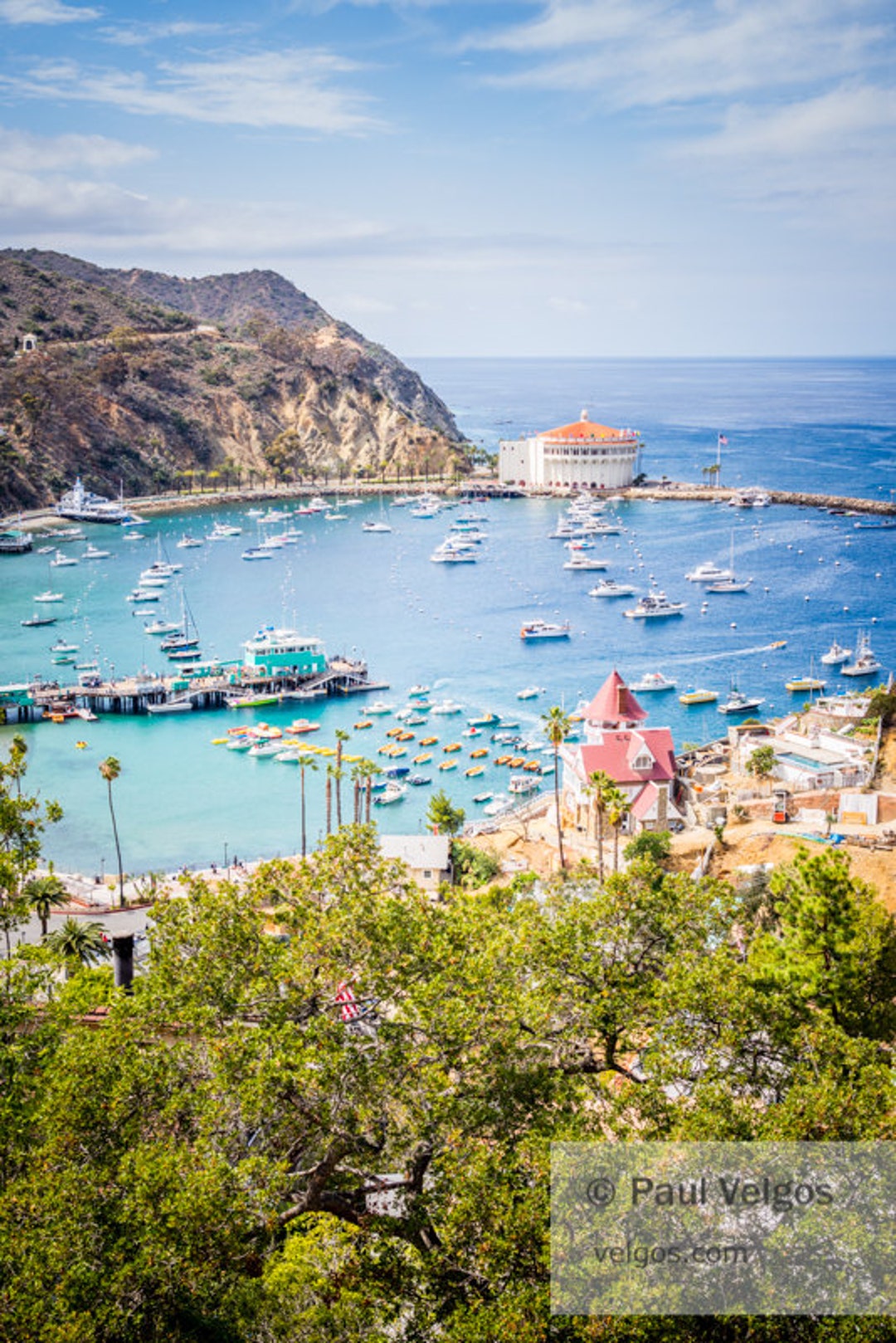 Catalina Island Art: Catalina Island Gift, Catalina Harbor Art, Avalon ...