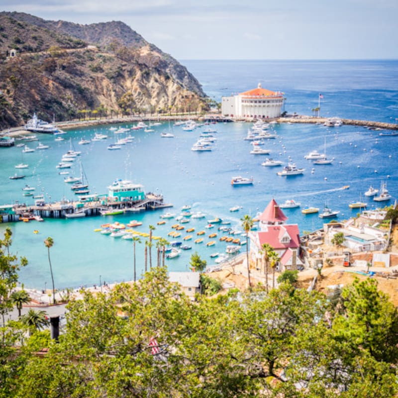 Catalina Avalon Poster - Etsy