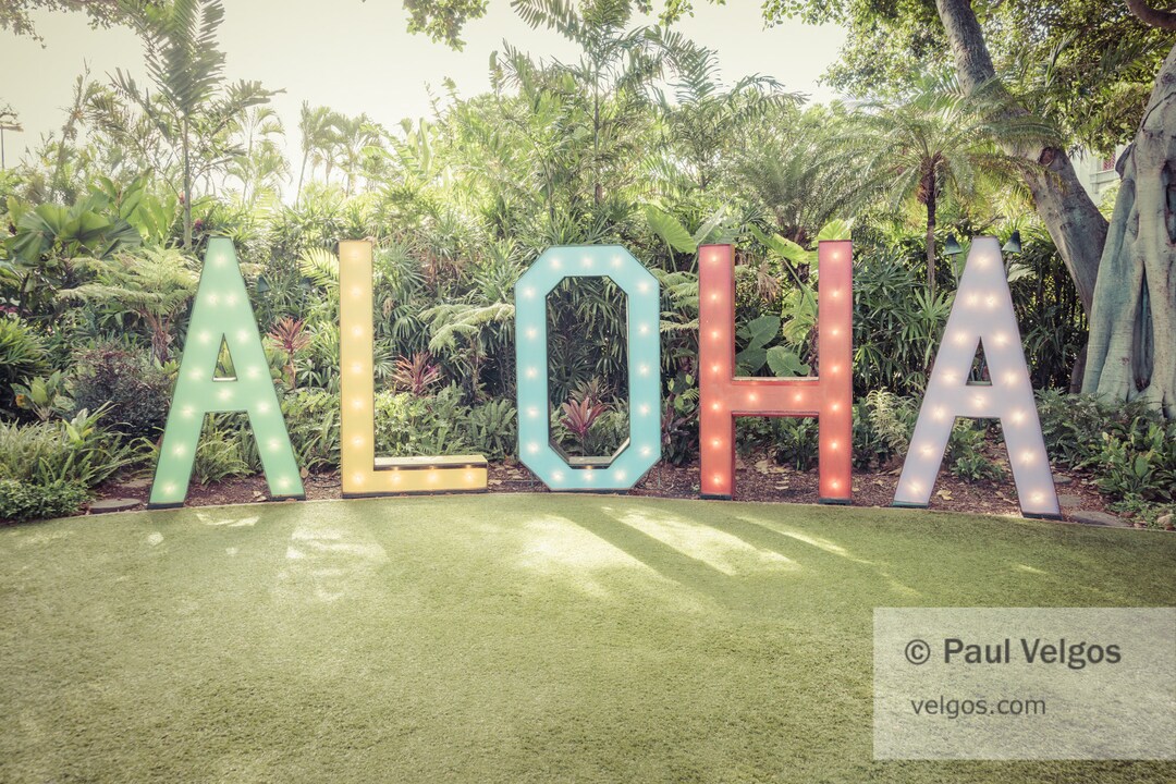 Aloha Sign Print: Maui Wall Art, Hawaii Aloha Poster, Maui Aloha ...