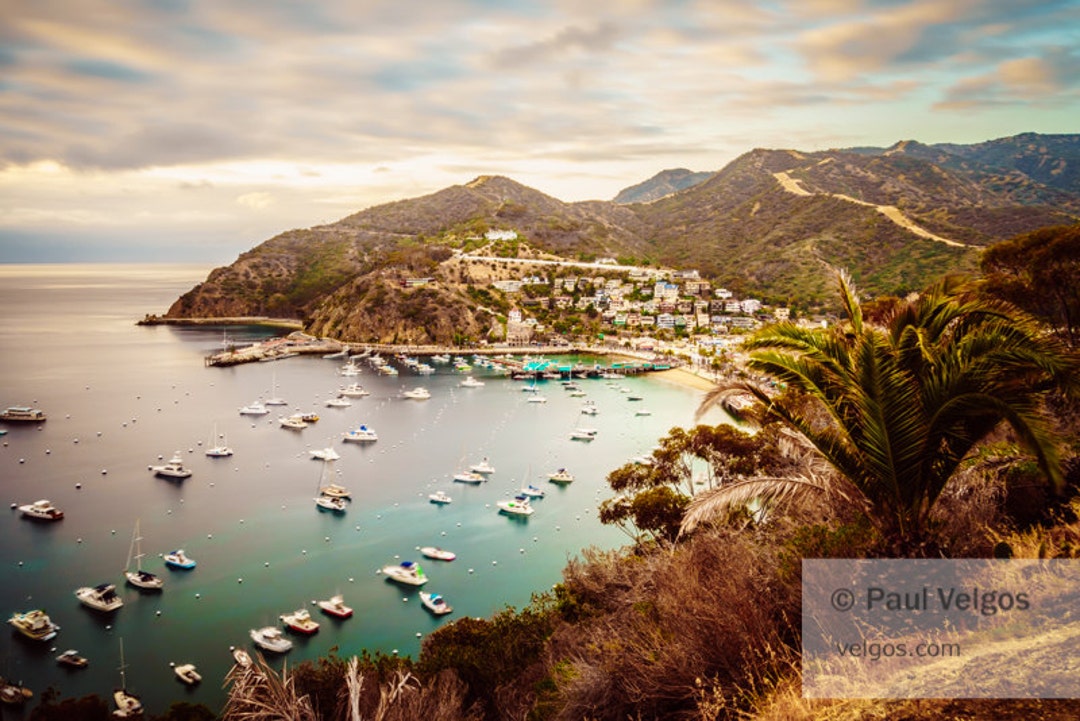 Catalina Island Wall Art: Catalina Harbor Art, Avalon Bay Print, Santa ...