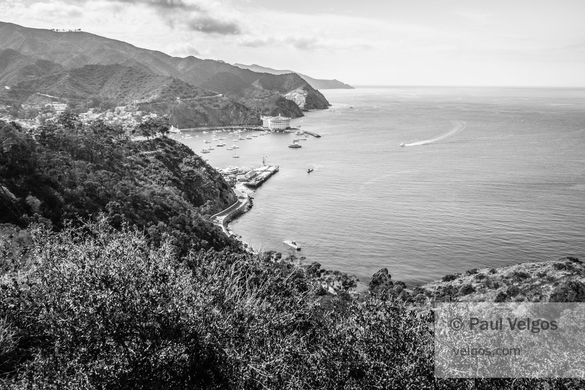 Catalina Island Art: Catalina Harbor Art, Avalon Bay Poster, California ...