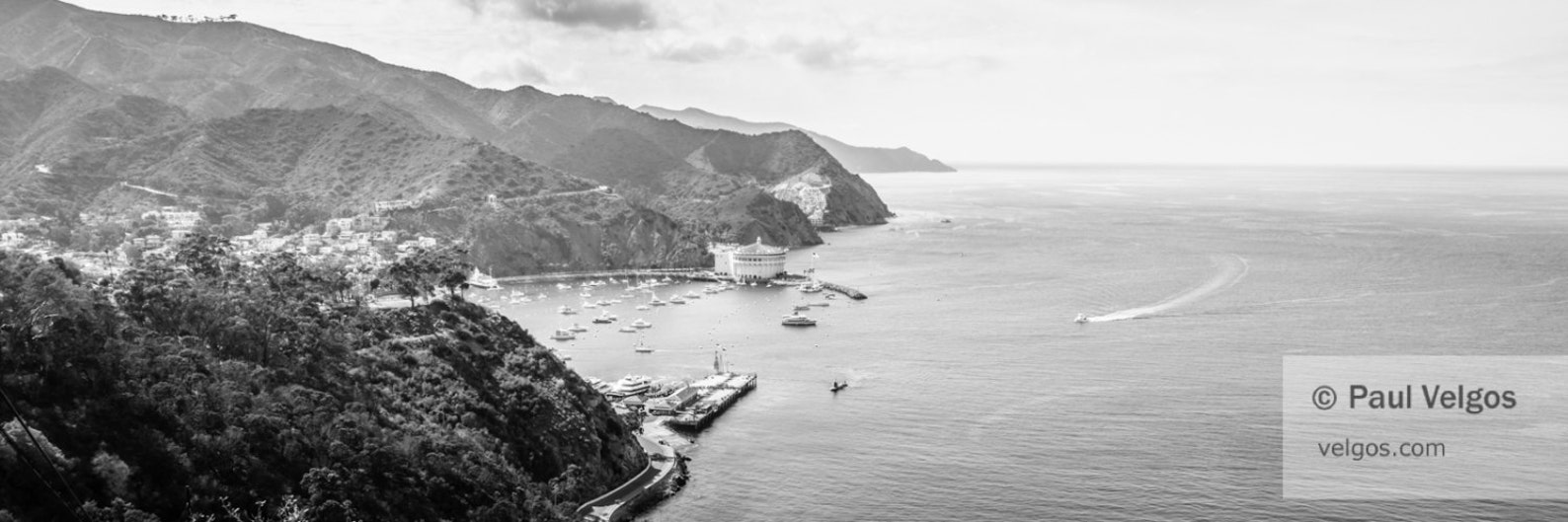 Catalina Island Art: Catalina Harbor Art, Avalon Bay Poster, California ...