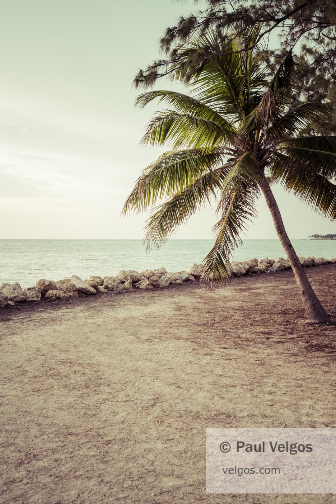 Key West Print: Palm Tree Poster, Florida Keys Canvas, Key West Wall ...