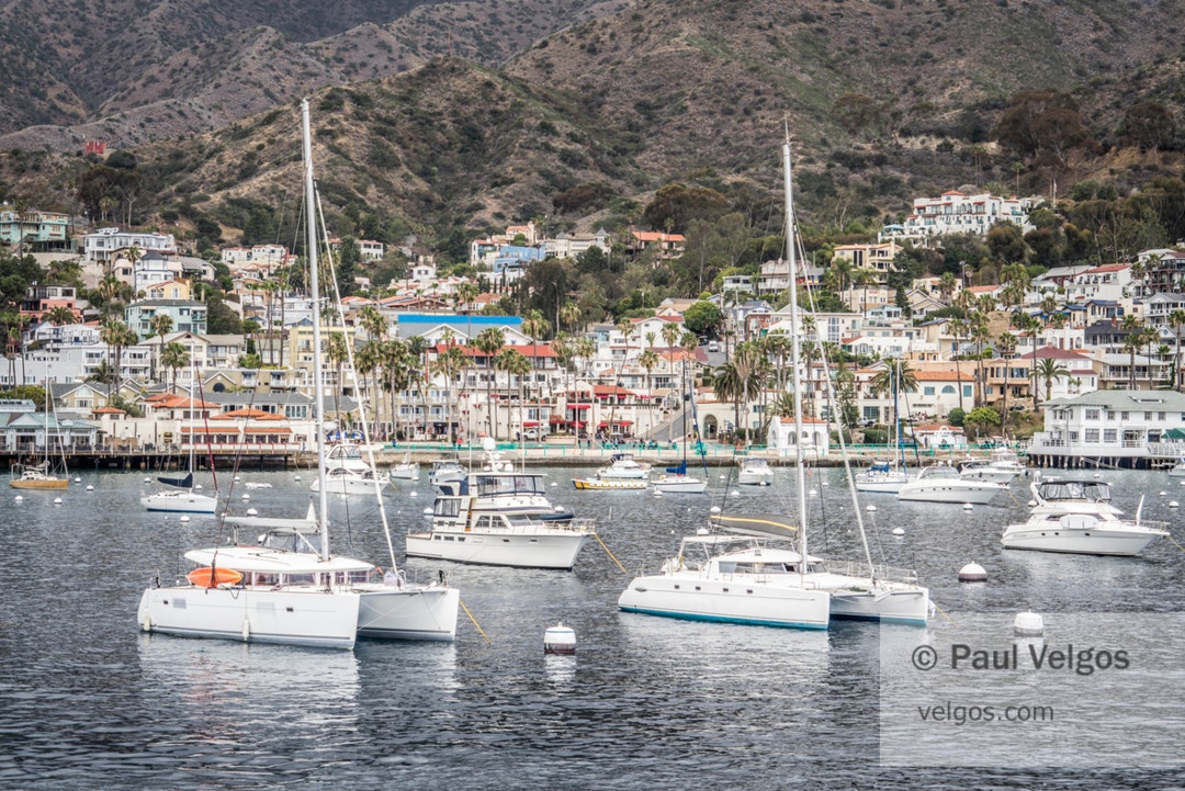 Catalina Harbor Art: Catalina Island Art, Avalon Bay Print, Santa ...