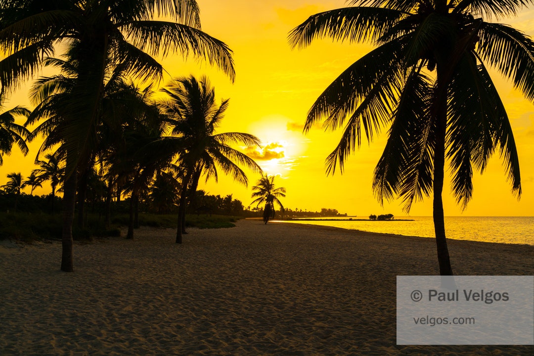 Key West Wall Art: Florida Keys Poster, Smathers Beach Photo, Palm ...