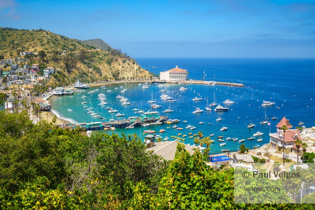 Catalina Island Art: Catalina Harbor Art, Avalon Bay Print, Santa ...