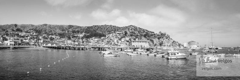 Catalina Island Art: Catalina Harbor Art, Avalon Bay Print, Santa ...