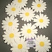 20 Daisy Confetti Table Scatter Flowers, Wedding Flower Confetti, White ...