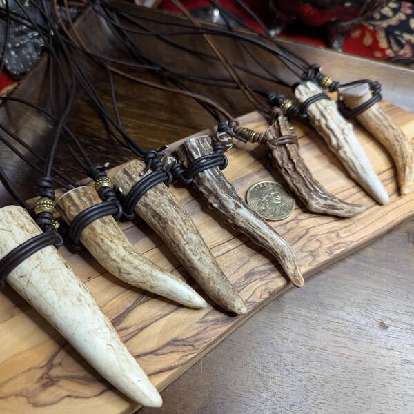 Elk Teeth - Etsy