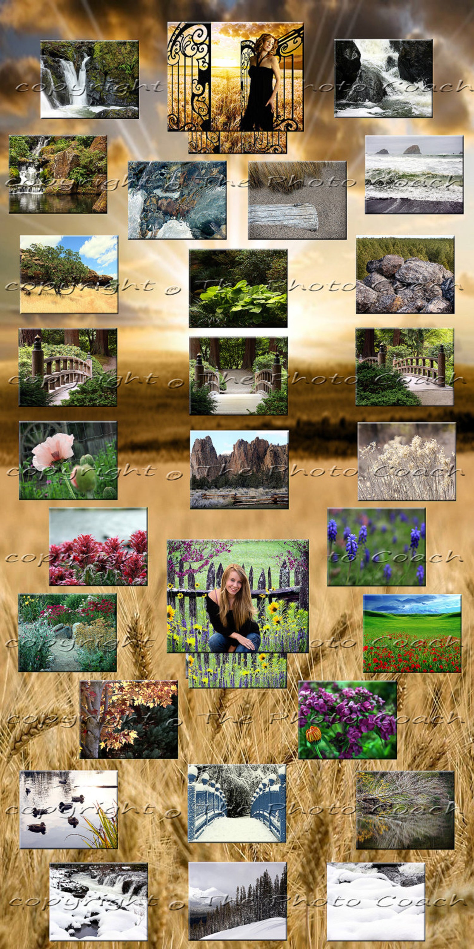 Digital Backgrounds Photo Overlays Nature Backdrops Digital Posing ...
