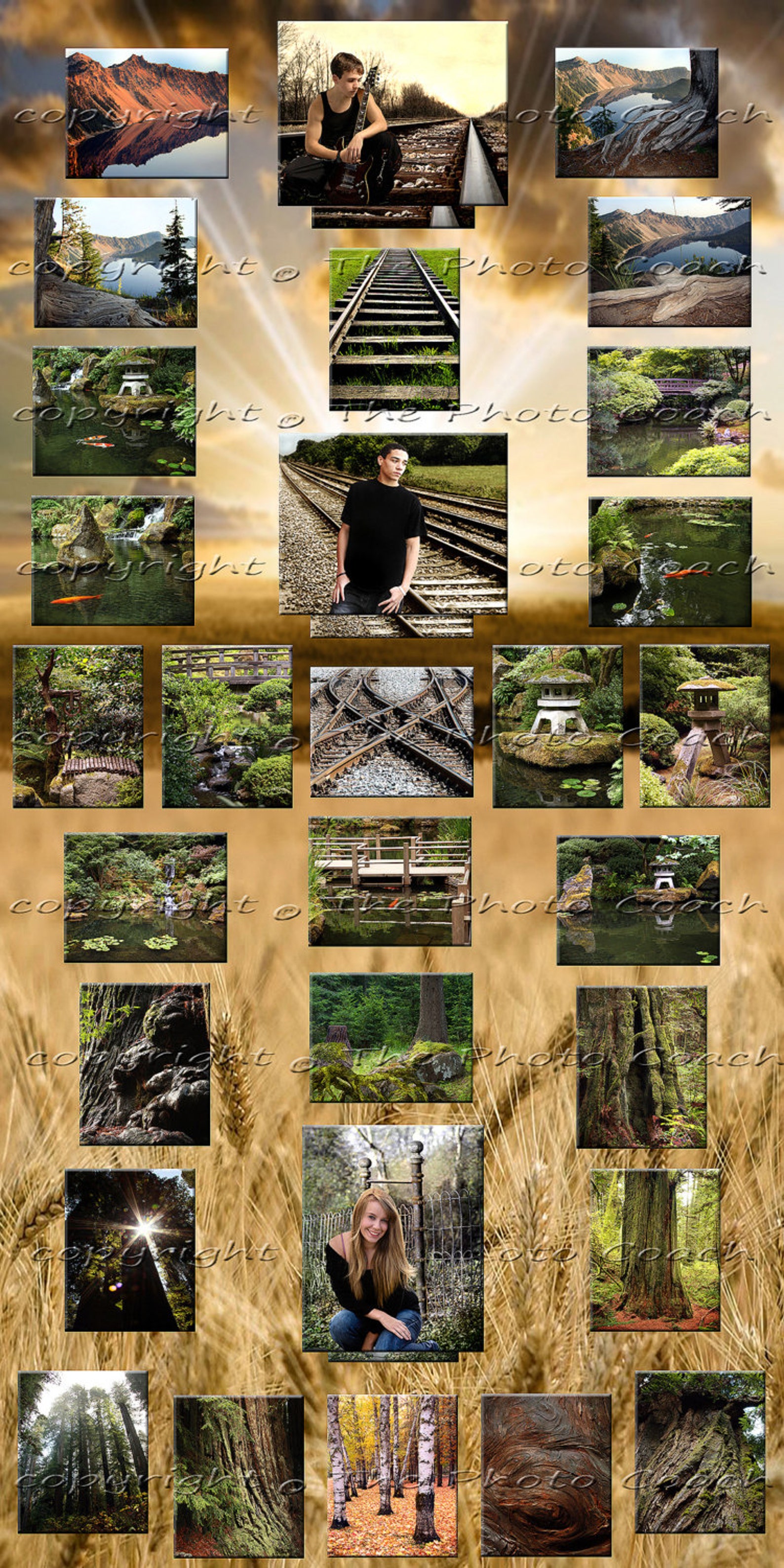 Digital Backgrounds Photo Overlays Nature Backdrops Digital Posing ...