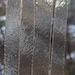 CLEAR Chinchilla (b16-cc) Strips of Glass ONE Pound for Stained Glass ...