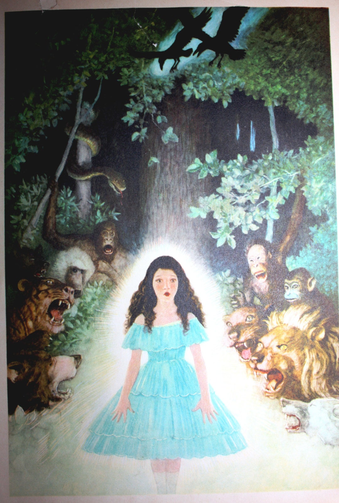 Snow-drop (snow White). Beautiful 1948 N.C. Wyeth Book Plate ...