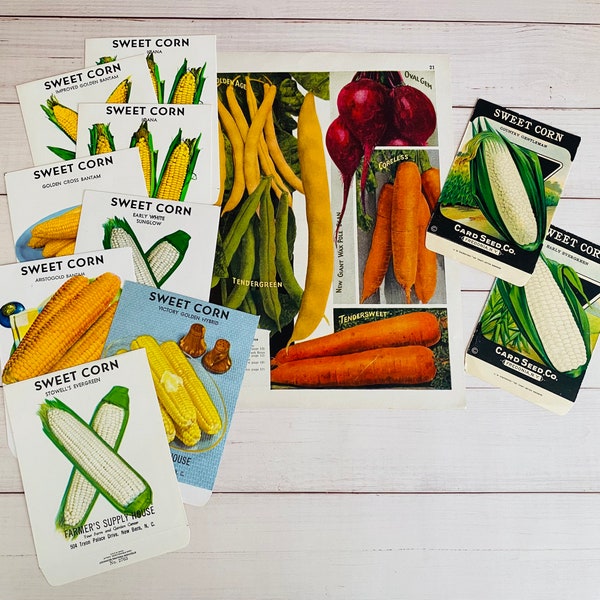 Antique Seed Packets - Etsy