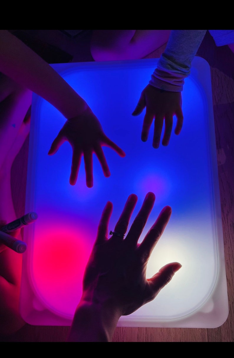 X-ray Acrylic Trofast Bin Insert for Light Table or Light Box - Etsy