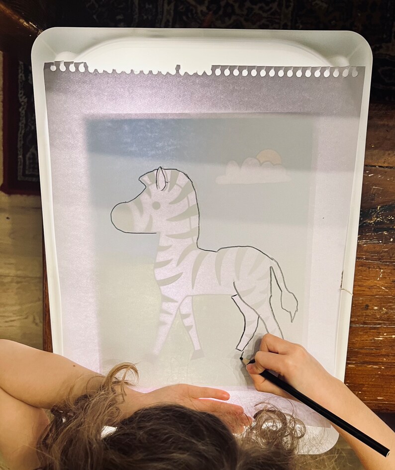 X-ray Acrylic Trofast Bin Insert for Light Table or Light Box - Etsy