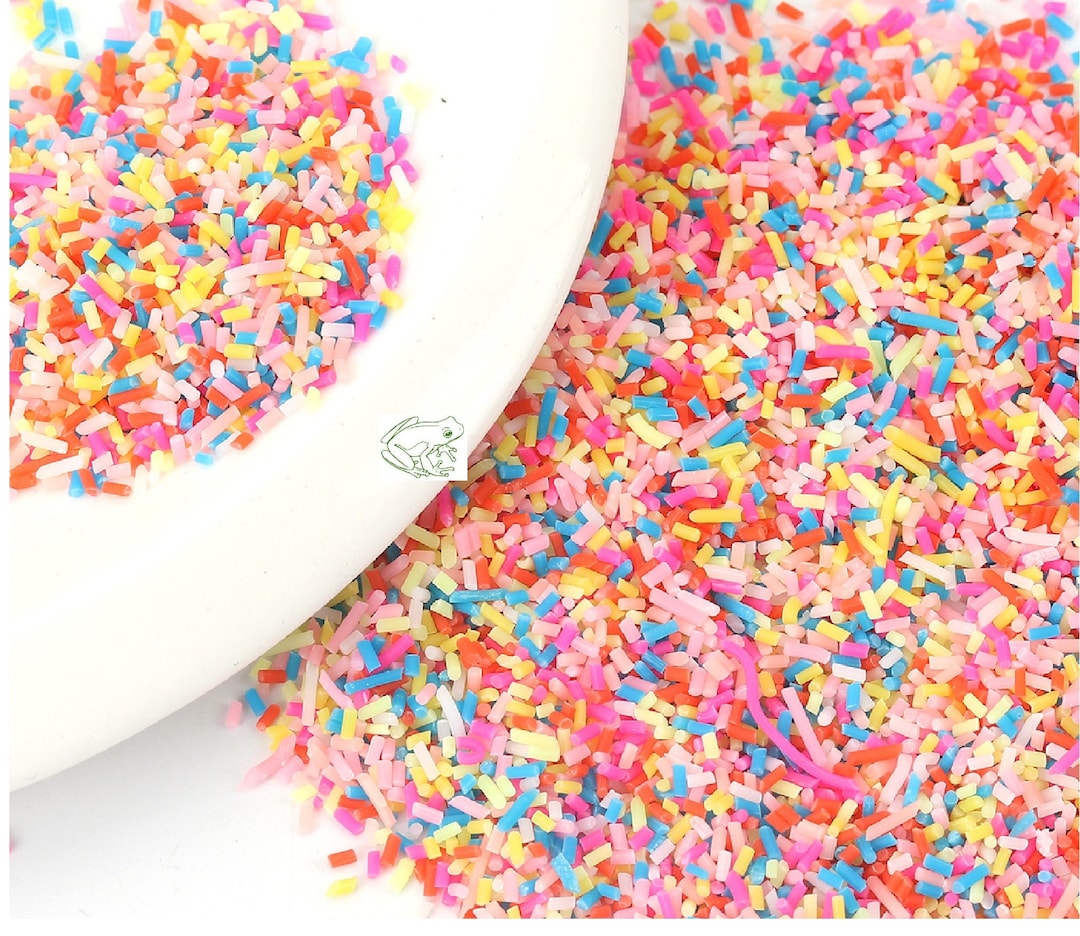Colorful Rainbow Sprinkles for Resin or Slime Polymer 25g - Etsy