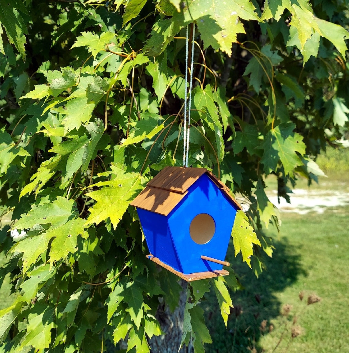 Wood Bird House Craft Kit Attract Some Colorful Birds to Your - Etsy