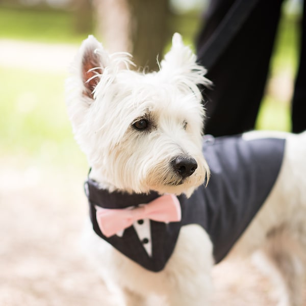 Dog Wear - Etsy