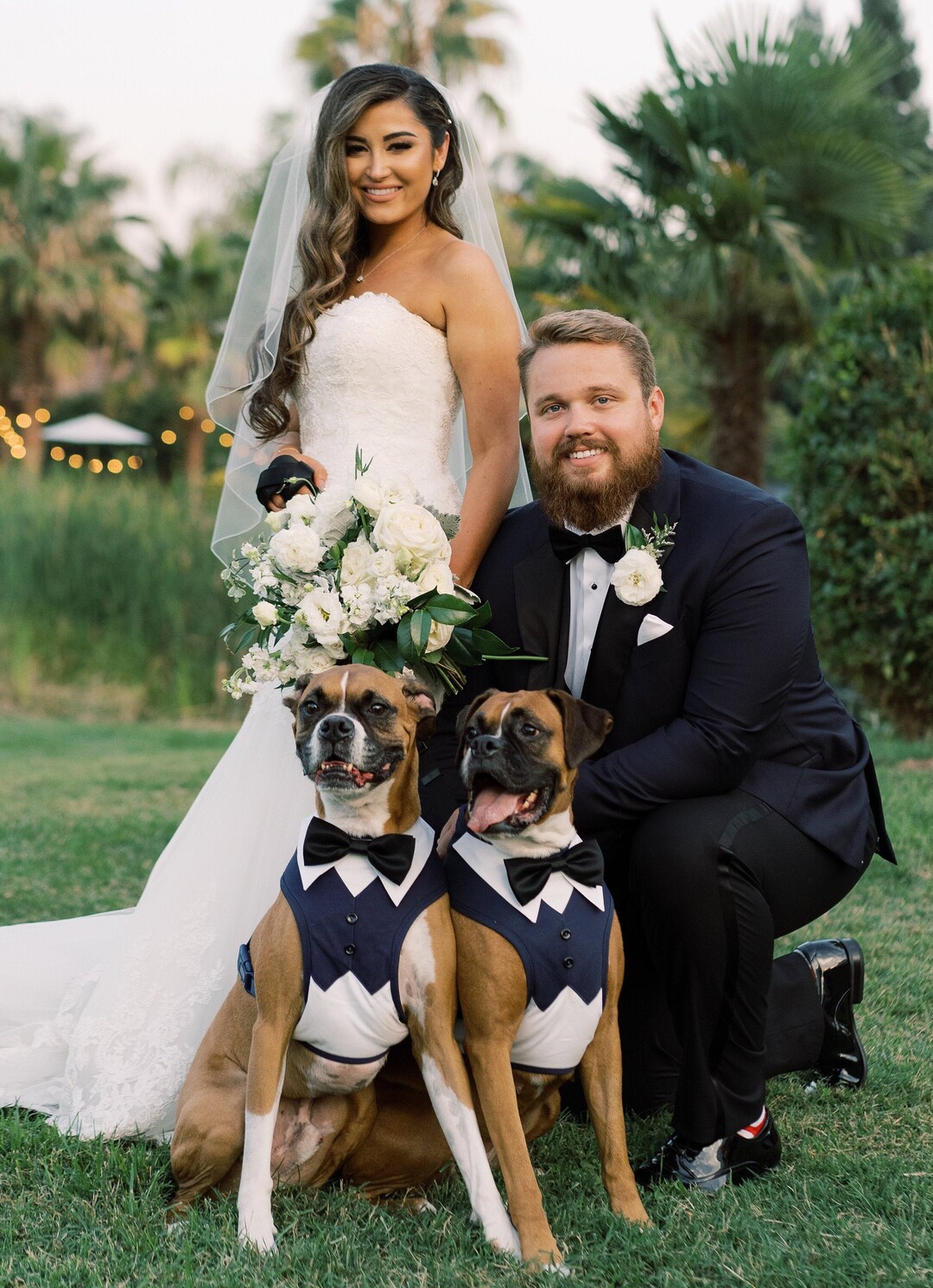 Large Wedding Harness Bow Tie . - Etsy