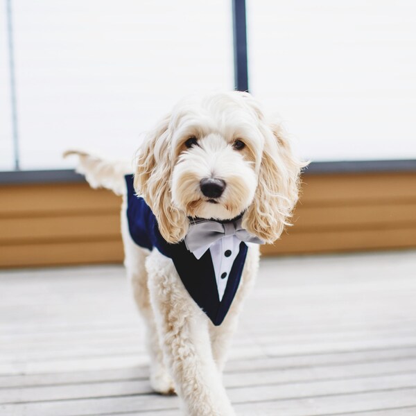 Dog Wedding Outfit - Etsy
