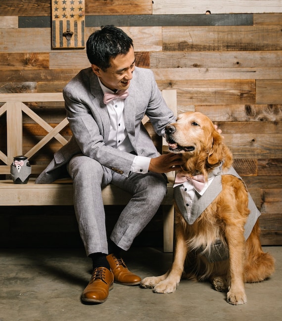 Wedding attire for large dogs | Honestweddingadvice.com