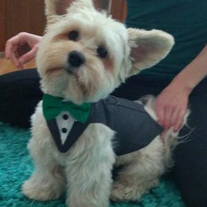Blue Formal Dog Tuxedo, Dog Wedding Tuxedo , Dog Attire , Pet Clothing ...