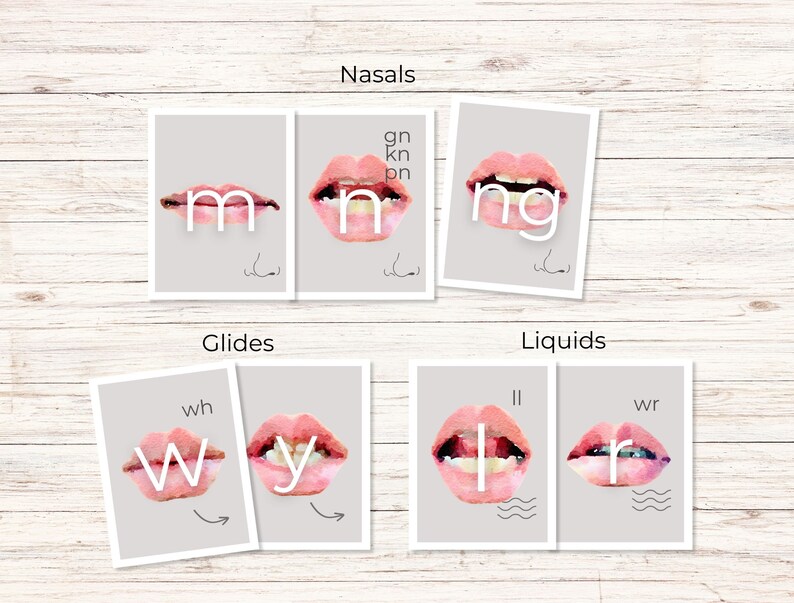 Phonics Consonant Flashcard Speech Sound Wall Printable Flashcards ...